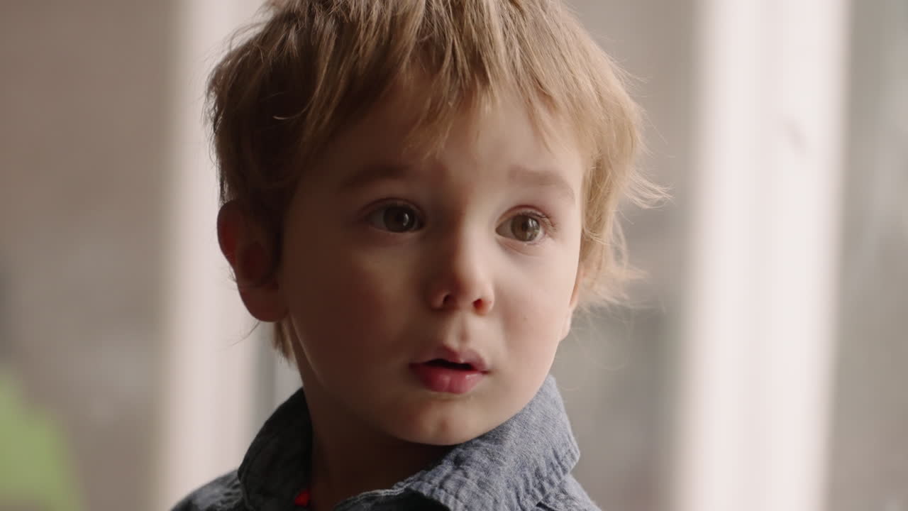 Premium stock video - Sweet portrait of a toddler boy turning his head ...