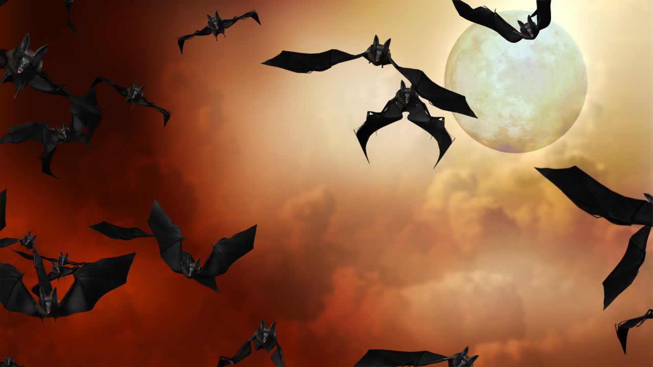 Flying bats animation on green screen flying bats animation with black ...