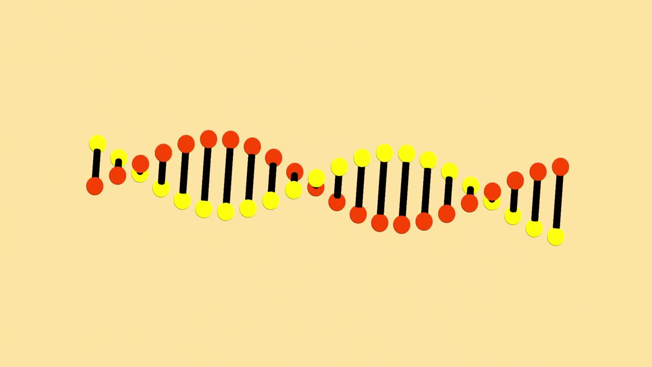 Animation Of A Digital 3d Red, Yellow And Black Double Helix DNA Free ...