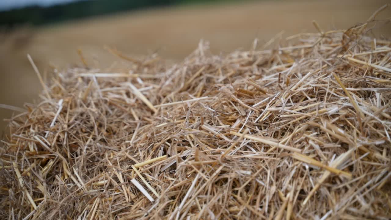Premium stock video - Straw in the field slide shoot