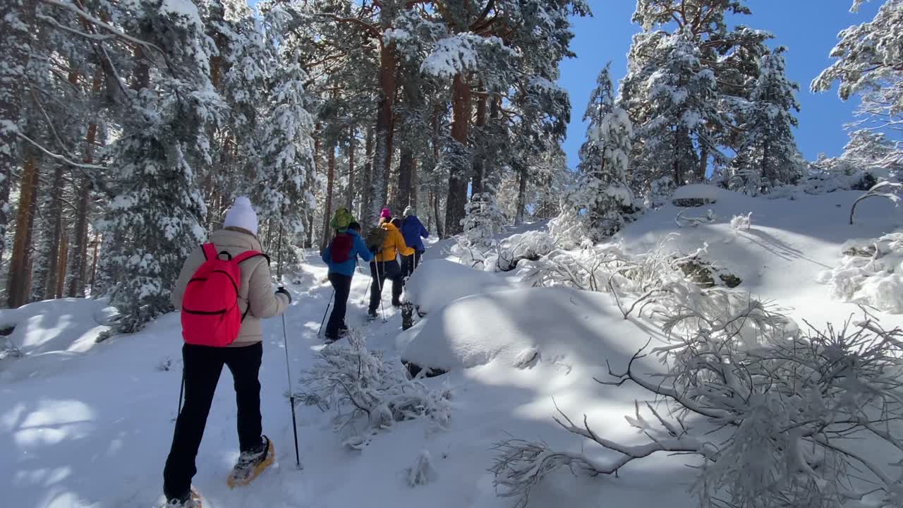 Premium stock video - People group hiking with rackets on snowy winter ...