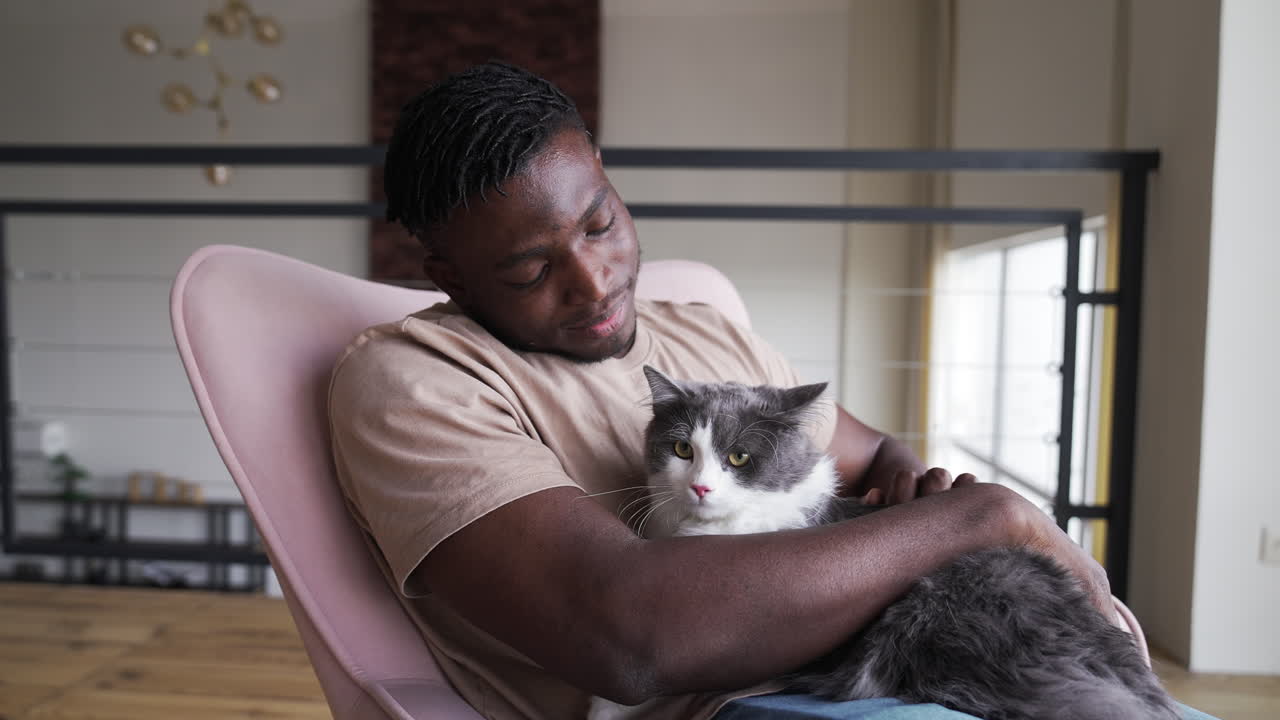 Free stock video - Pet owner with his cat