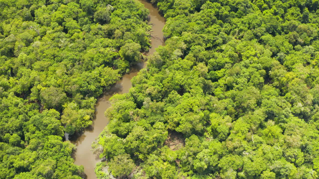 Incredible High Flying Aerial View Of The Dense Guyana Jungle Free ...