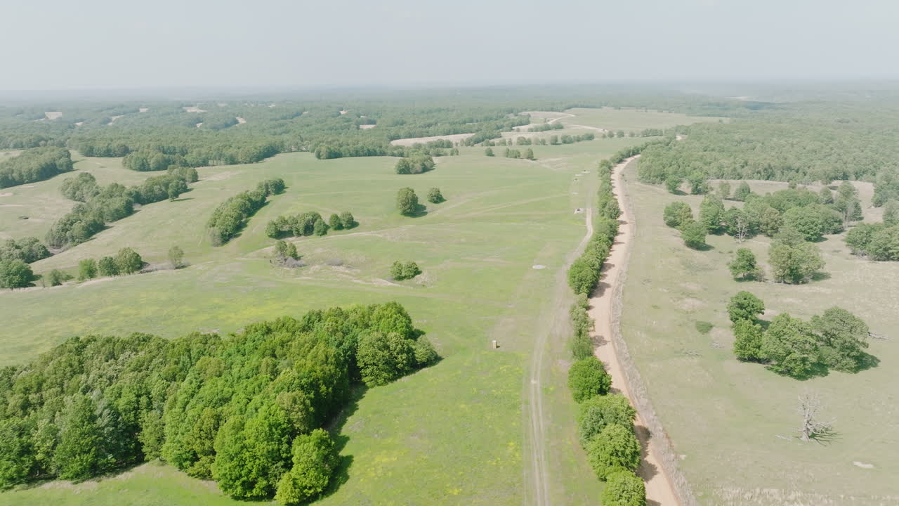 Vast Landscape With Lush Green Trees In Summer In Leach, Oklahoma, USA ...