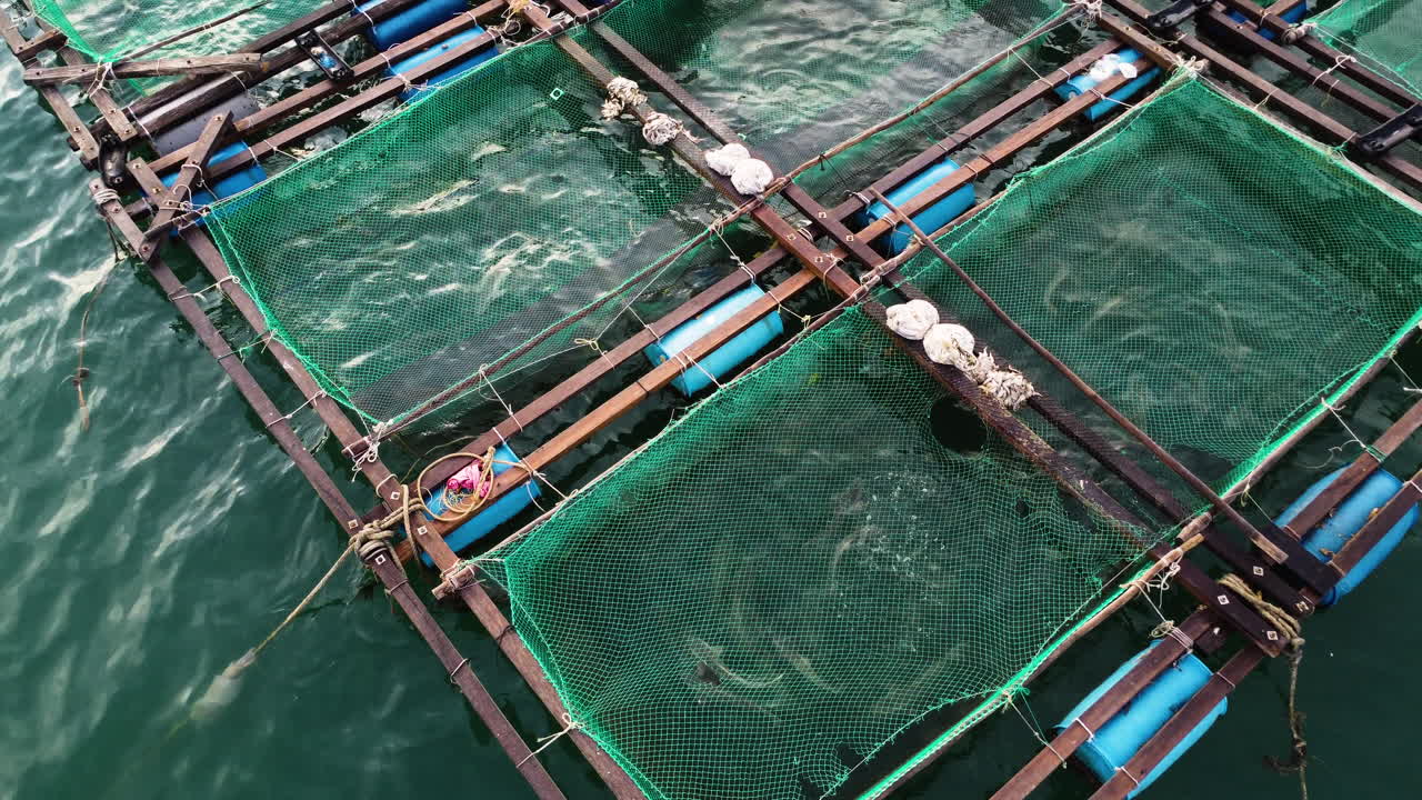 Premium stock video - Vietnam invasive fishing farm, causing the ...