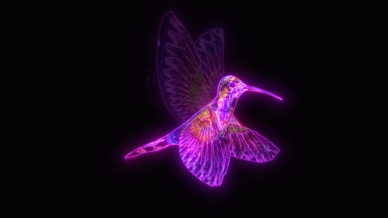 Premium stock video - Hummingbird flying loop with alpha channel