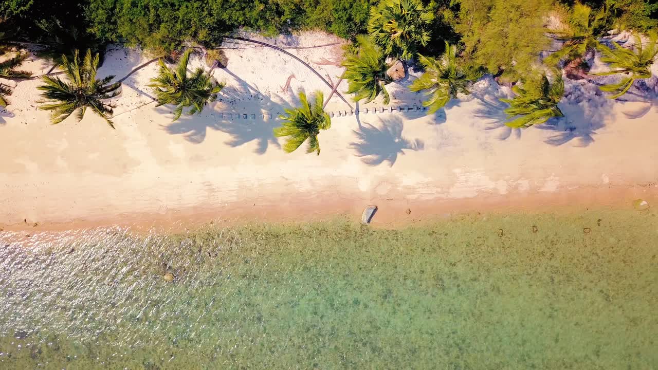 Tropical Sand Beach With Palm Trees In Sunset, Sunrise, Aerial Dolly ...