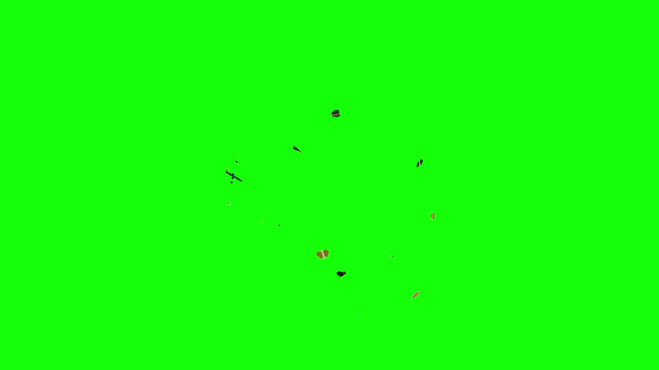 Moth and bug overlay on greenscreen, perfect for compositing into a ...