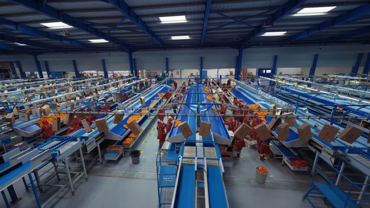 Premium stock video - Citrus packing house