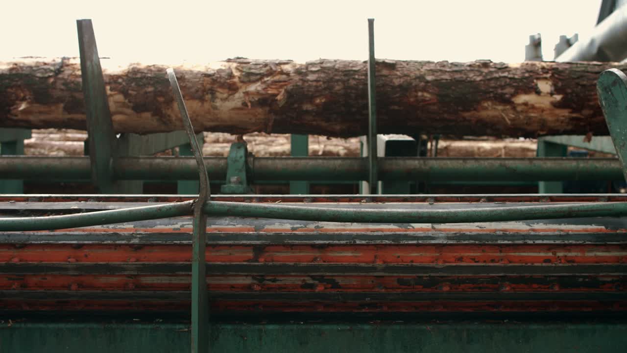 Premium stock video - Process of machining logs at sawmill. processing ...