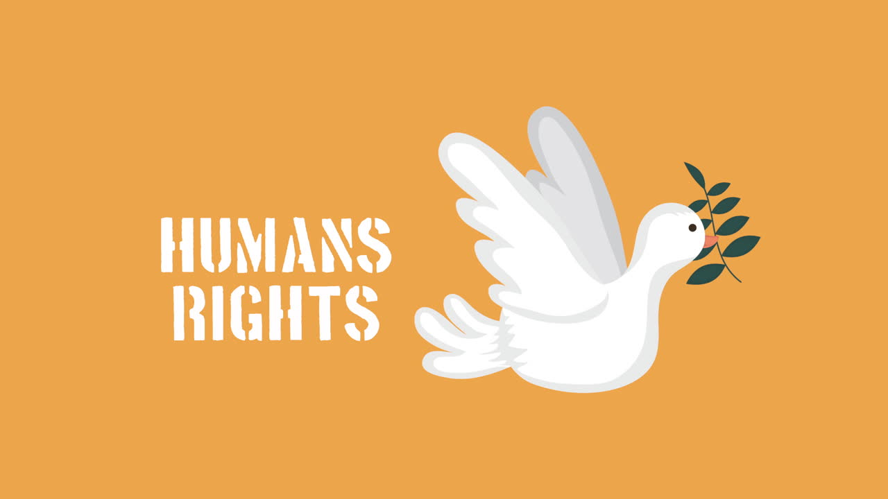 Human rights animation with dove flying | Premium Stock Video Footage