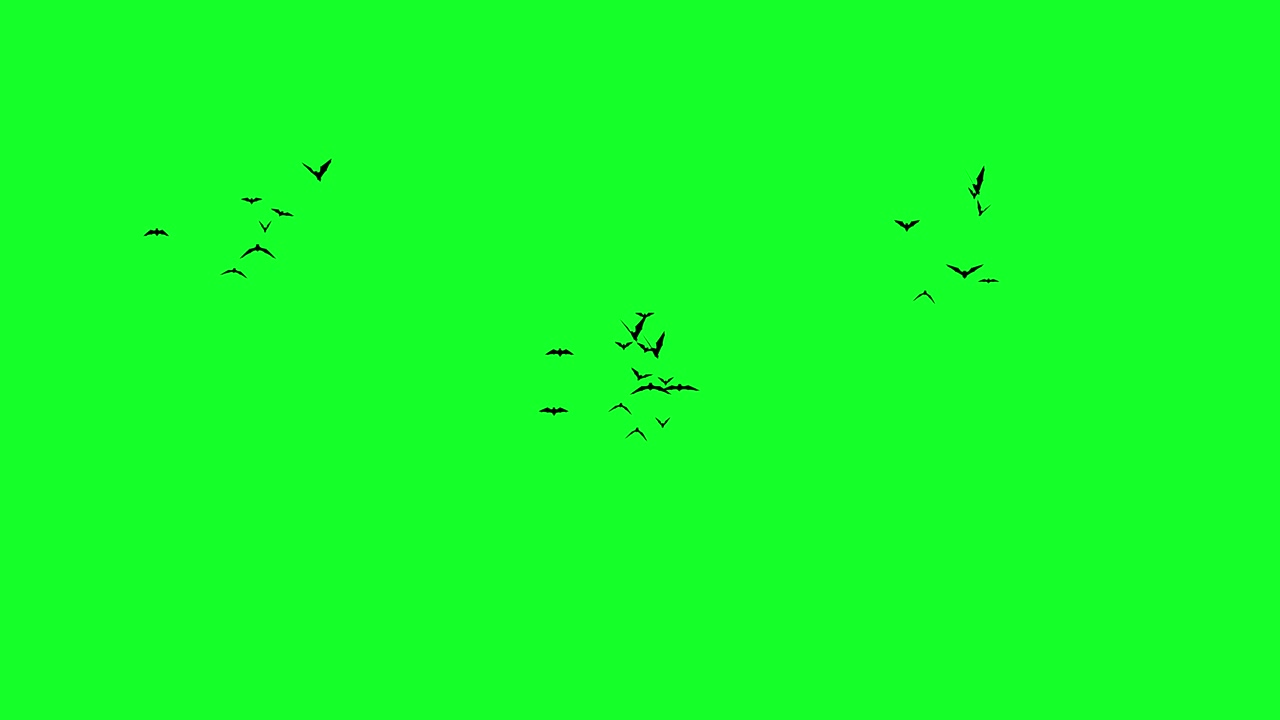 Animation of three groups of bats moving closer to the green screen ...
