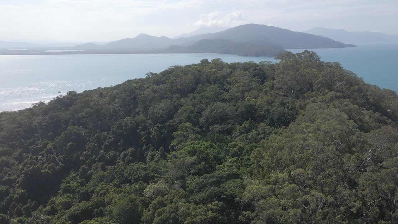 Thick Green Vegetation At Snapper Island Near The Locality Of Kimberley ...