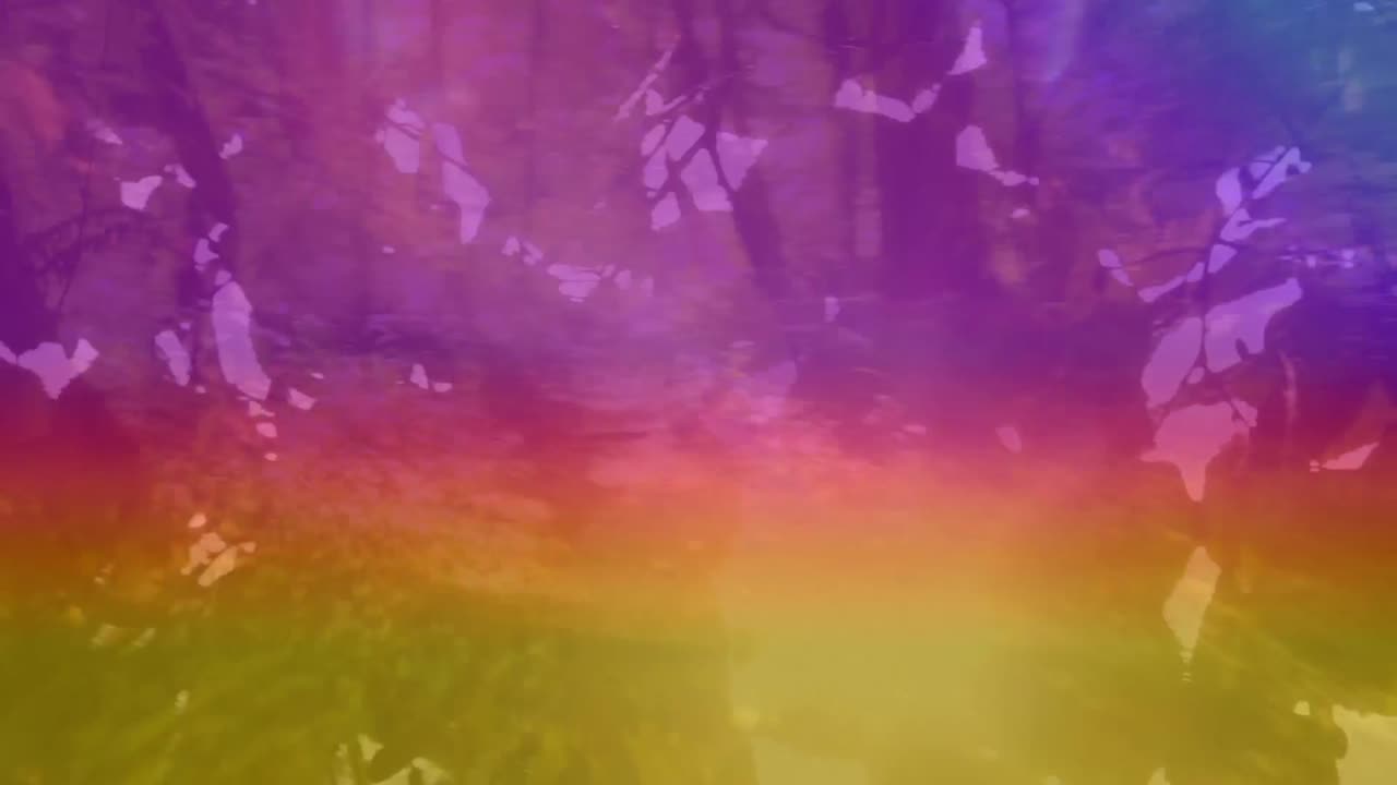 Animation of colorful light over forest and leaves | Premium Stock ...
