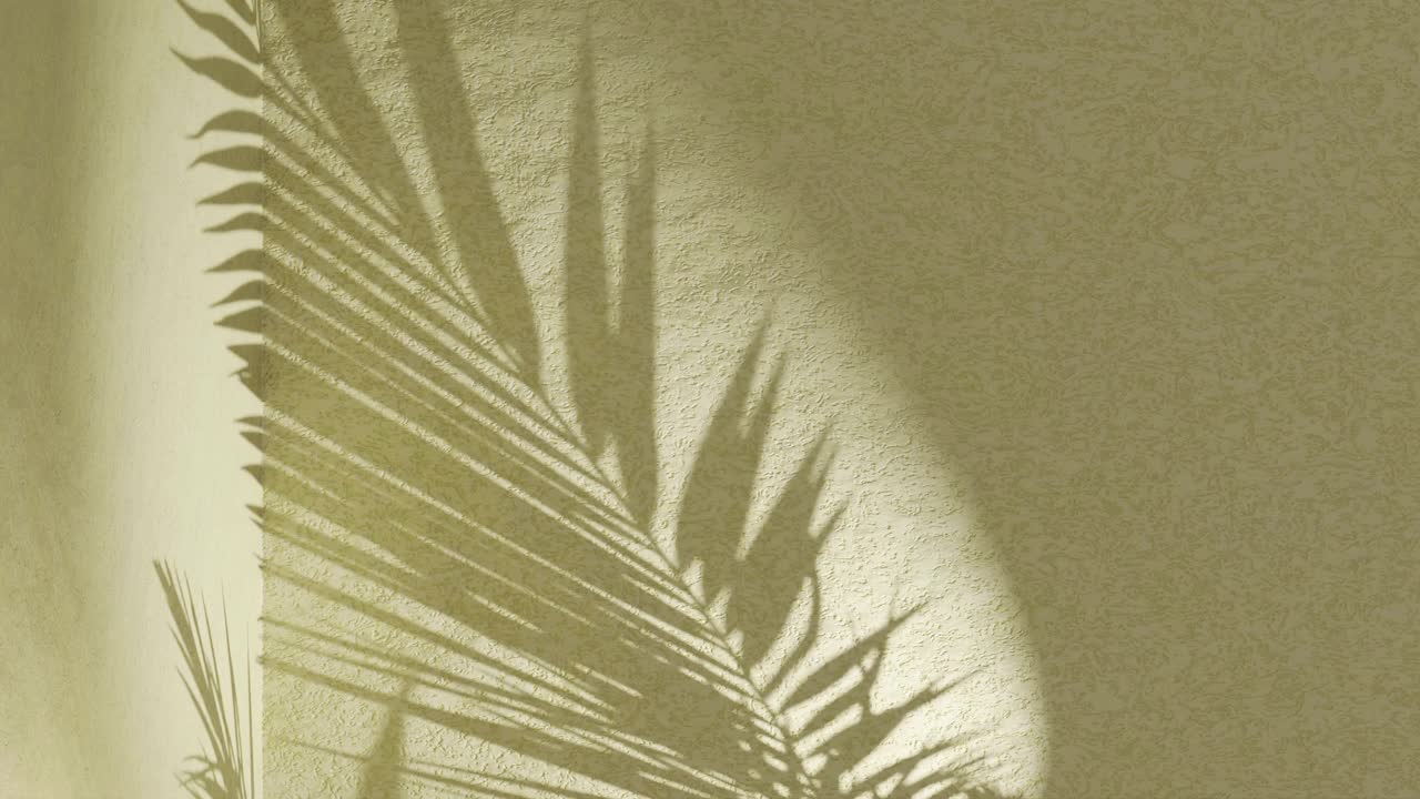 Premium stock video - Golden yellow textured wall with palm frond ...