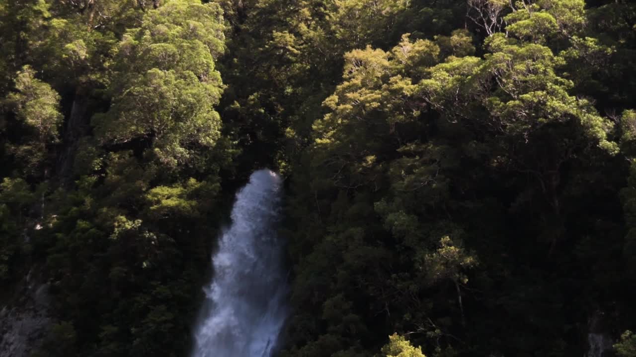Pan Movement Revealing Waterfall In A Dense Native Forest Free Stock ...