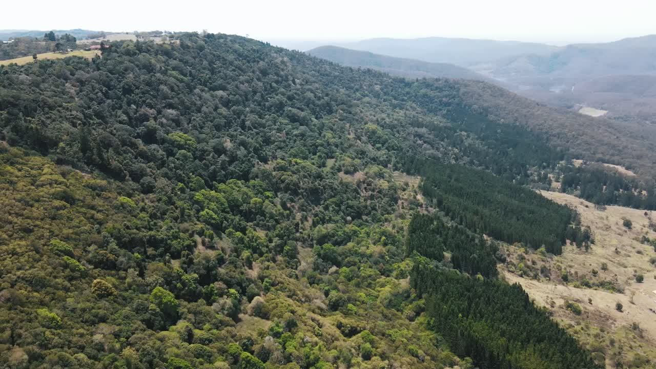 Drone Aerial Over A Green Lush Australian Native Mountain With Trees ...