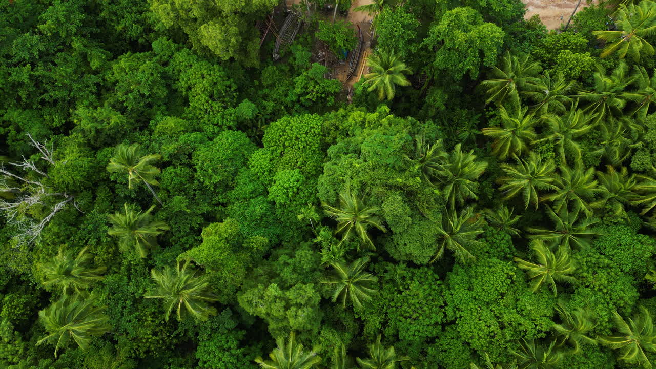 Beautiful untouched koh lanta tropical jungle in thailand, aerial top ...