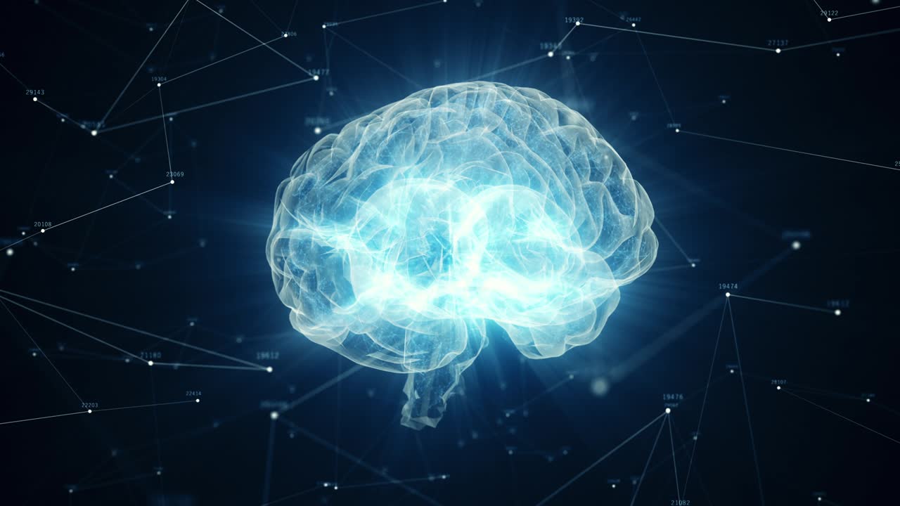 The human brain rotates formed of luminous particles. Plexus structure ...