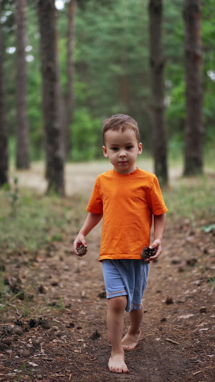 Barefoot toddler picking pine cones in the forest. Little kid throws ...
