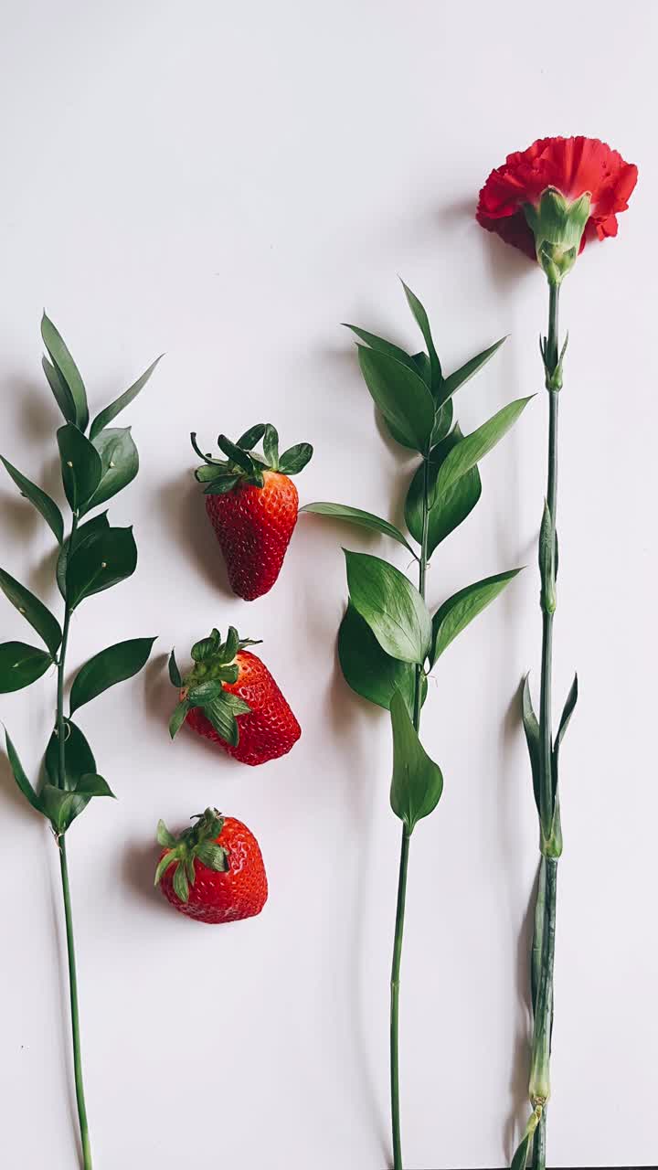 Strawberries and Carnation Arrangement | Premium Stock Video Footage