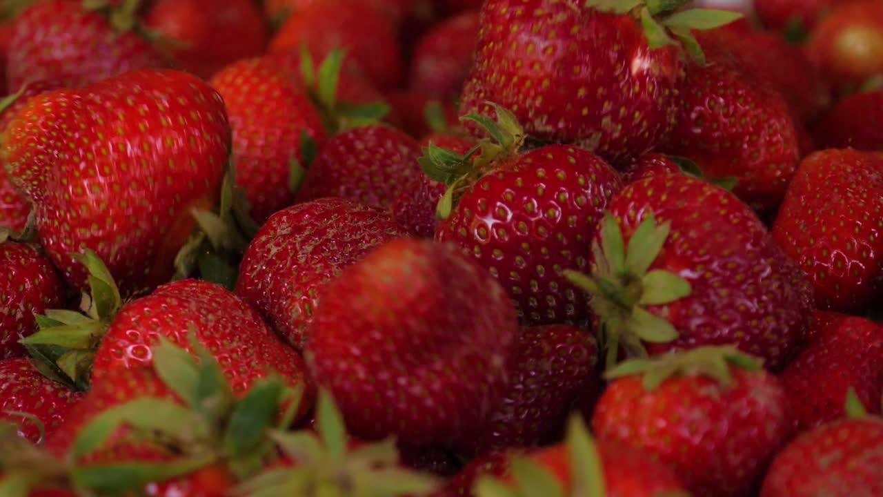 Premium stock video - Freshly harvested strawberries falling on a pile ...