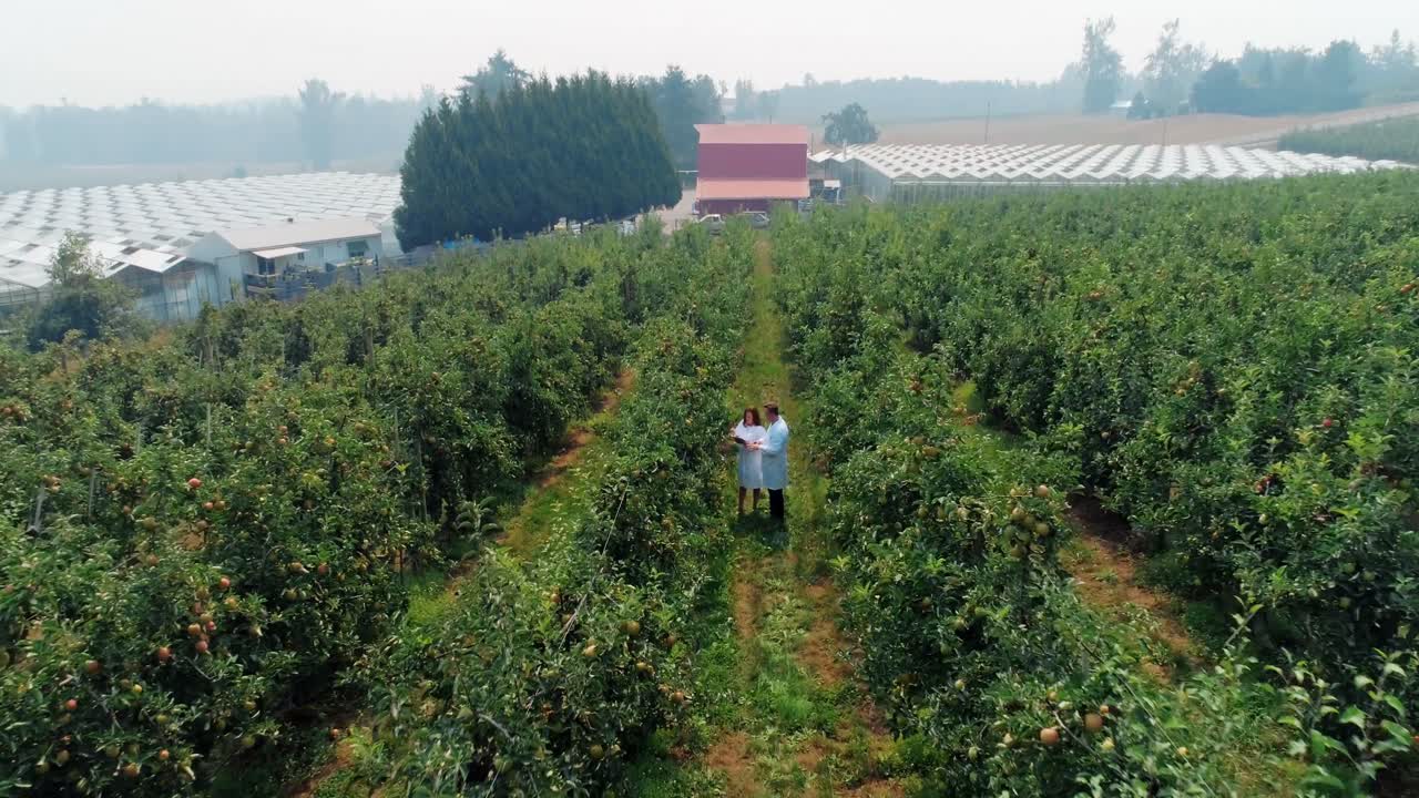 Couple farming in the green farm 4k Premium Stock Video Footage