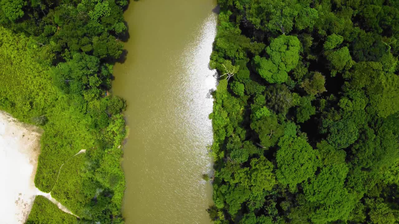 Amazing Cinematic 4K Residential Drone Footage After Deforestation ...