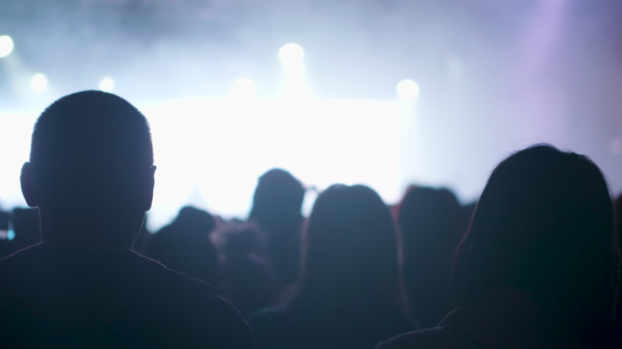 Concert Crowd | Premium Stock Video Footage