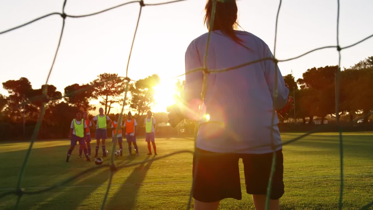 Female Keeper Stopping The Ball In Goal On Soccer Field. 4k Free Stock ...