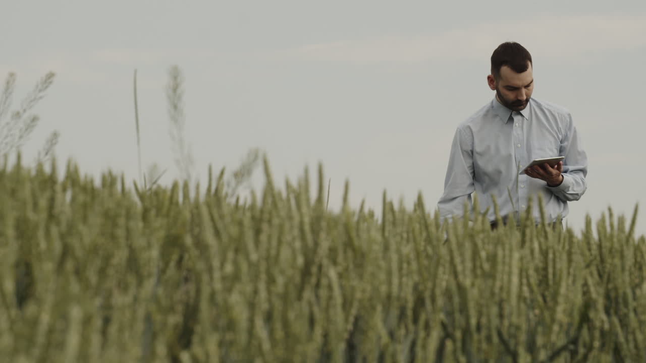 Premium stock video - Manager walking in wheat field with tablet in ...