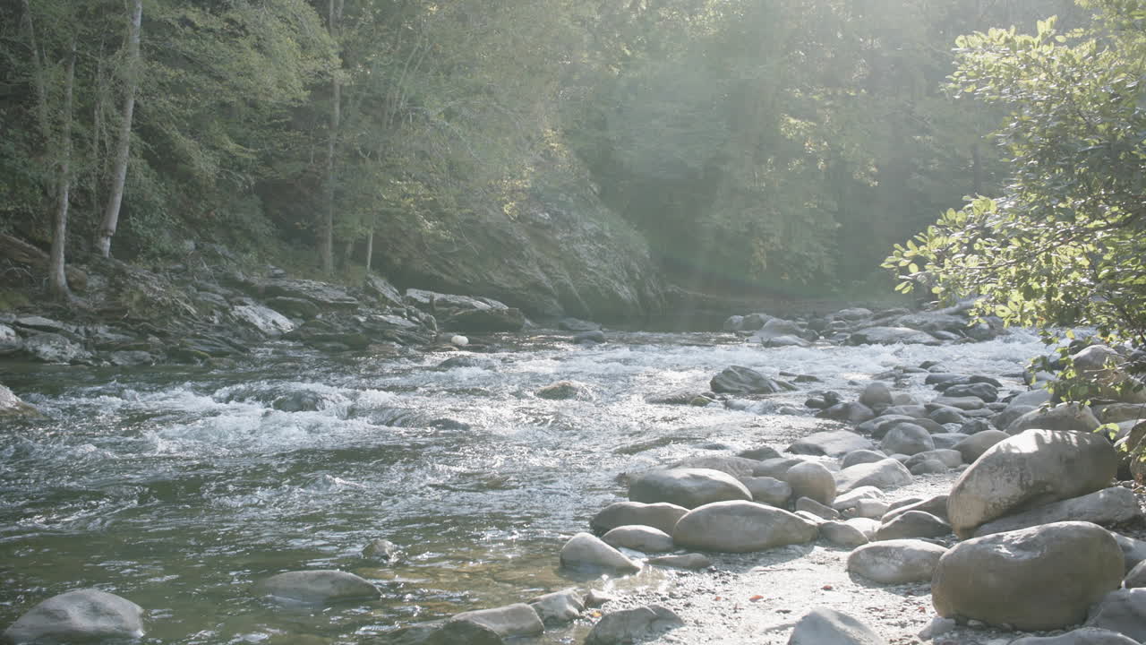 Slow motion footage of a creek in the smoky mountains national park ...