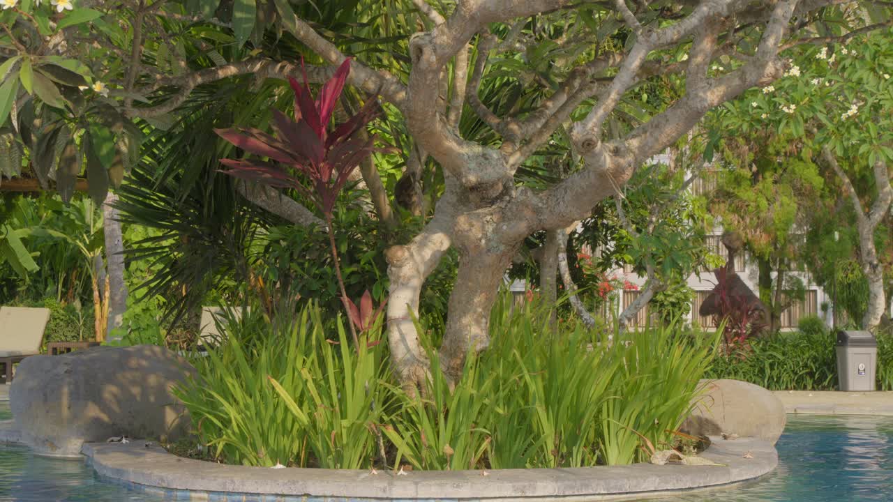 Premium stock video - Bintang flores hotel - modern seaside hotel with ...
