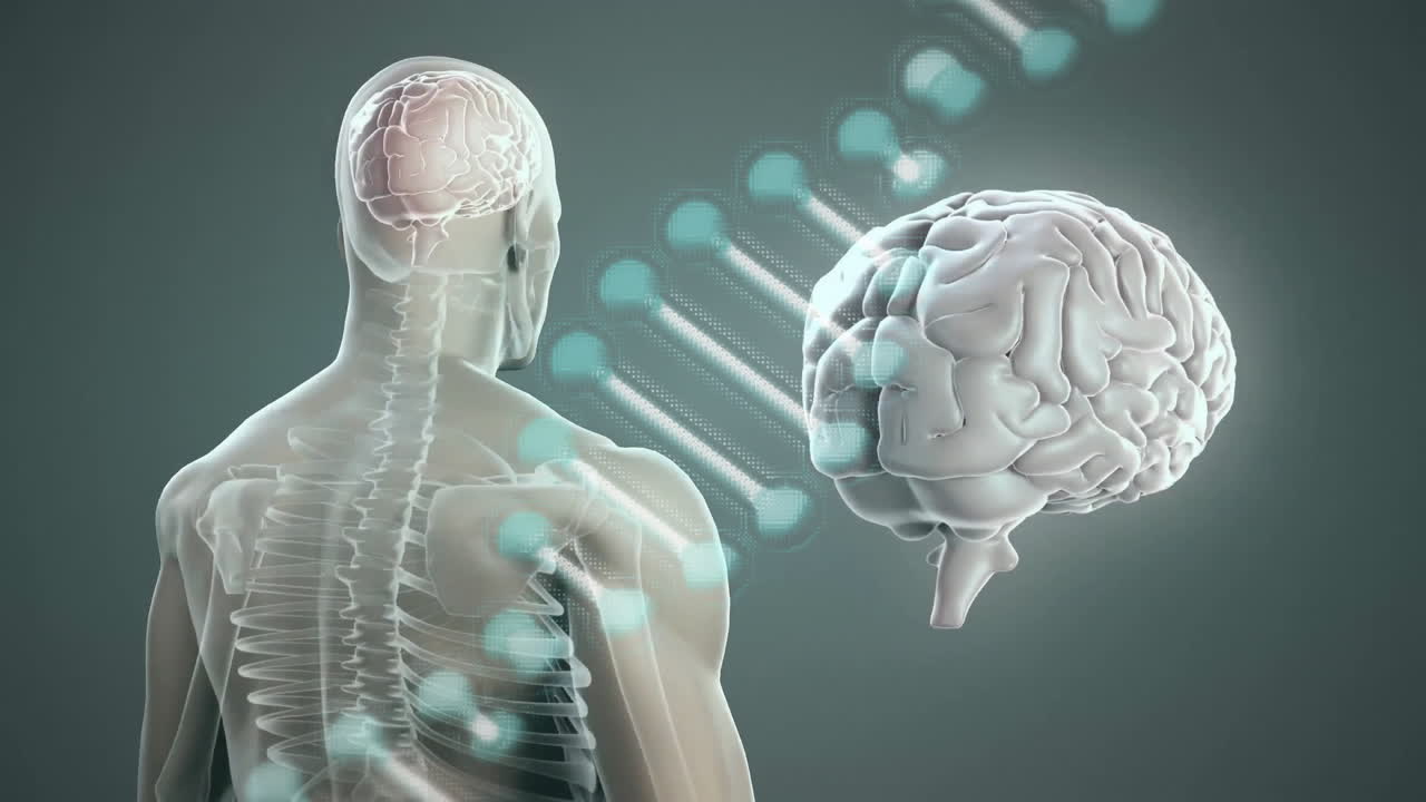 Premium stock video - Animation of dna strand over cross section of ...