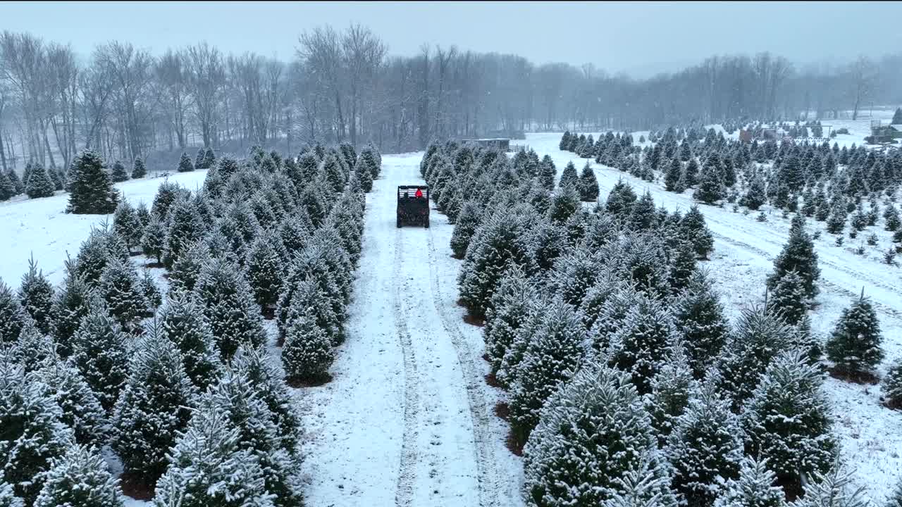 Utv driving on snow covered path in between pine trees dusted with snow ...