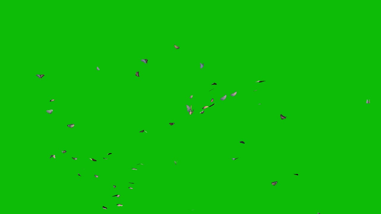 Premium stock video - Visual effects, vfx, butterflies flying from the ...