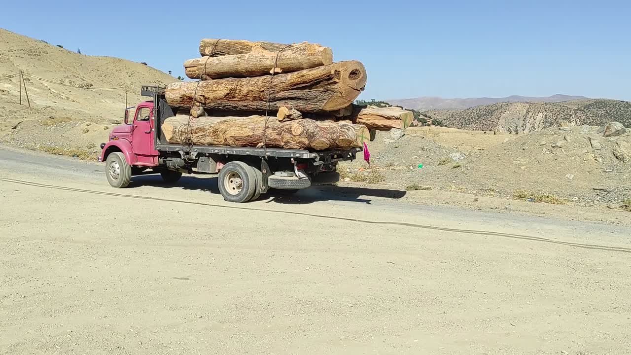 Premium stock video - A truck carrying stumps after cutting cedar trees ...