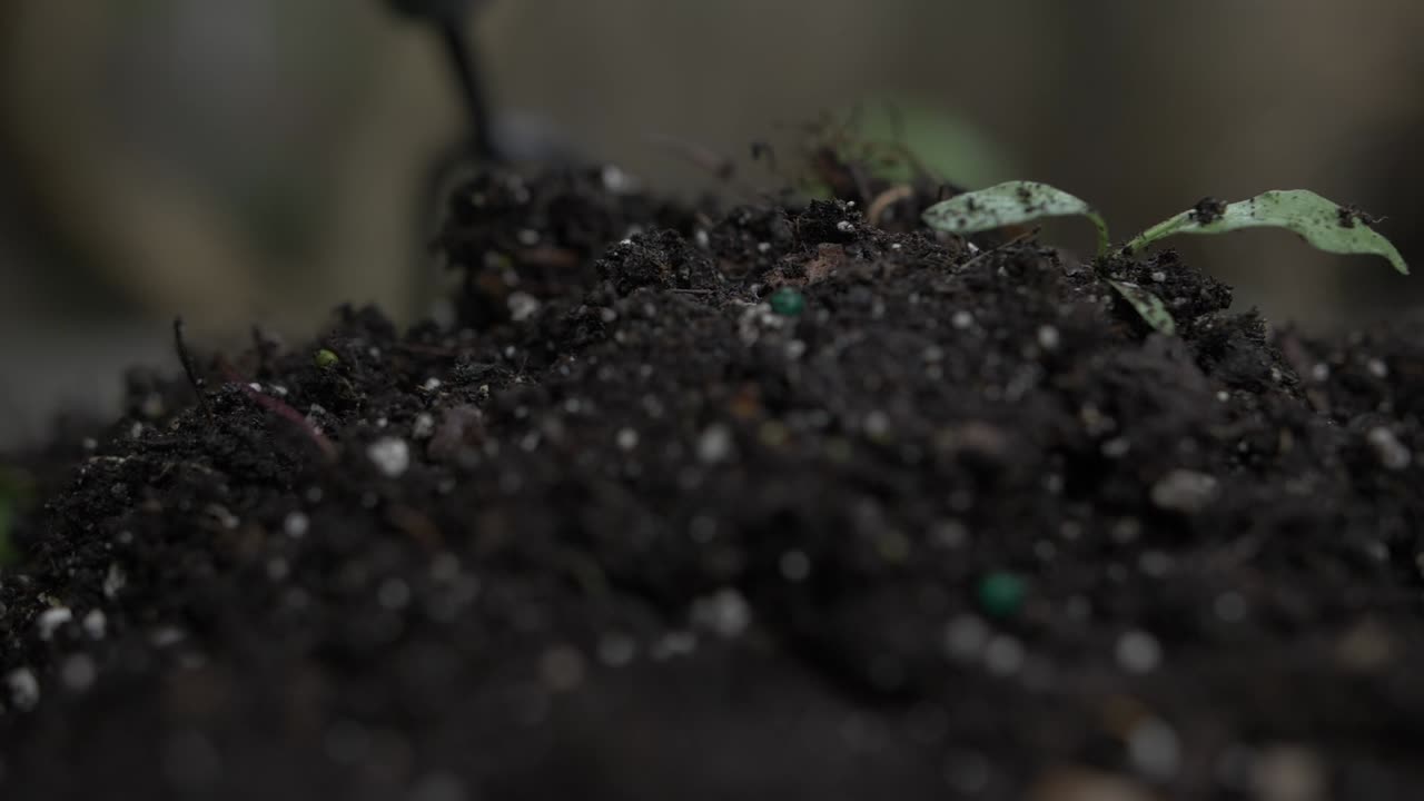 Premium stock video - Racking of close up of soil