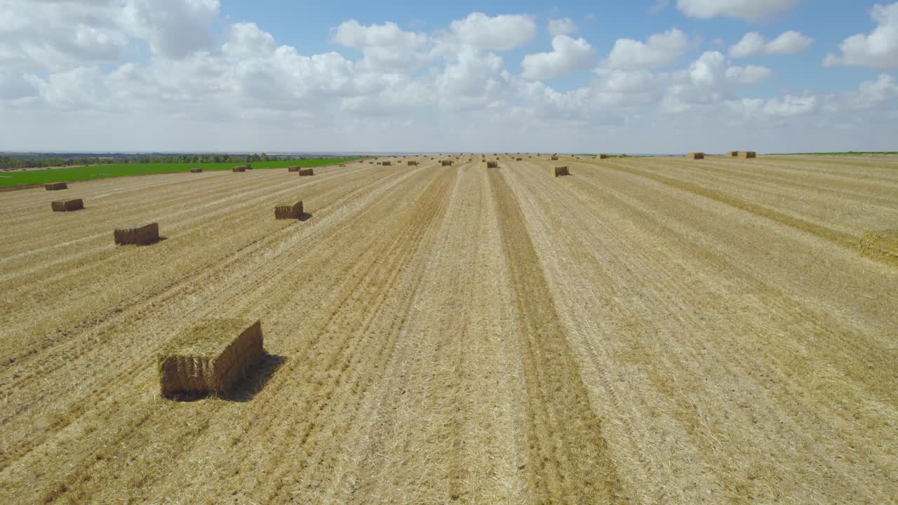 Straw Fields At Sdot Negev Settlement, Israel Free Stock Video Footage ...