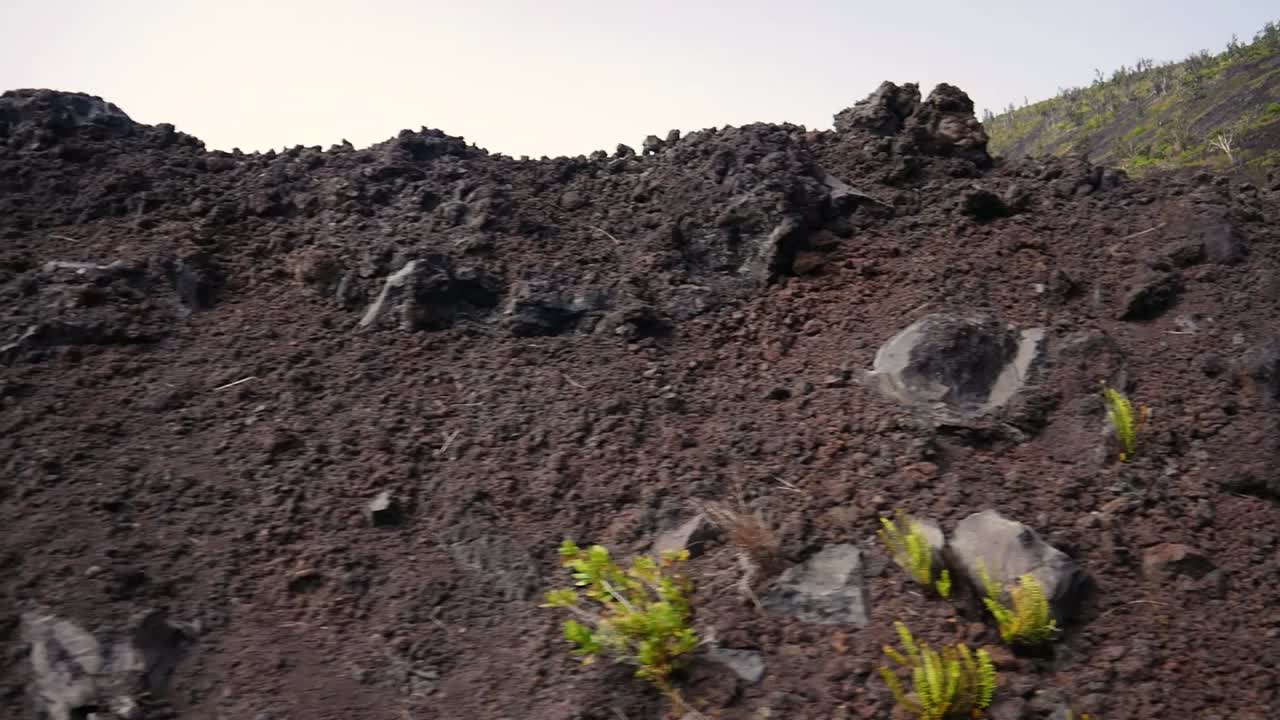 Driving Past Lava Ledges Carved Out Of A Lava Flow On The Slopes Of A ...