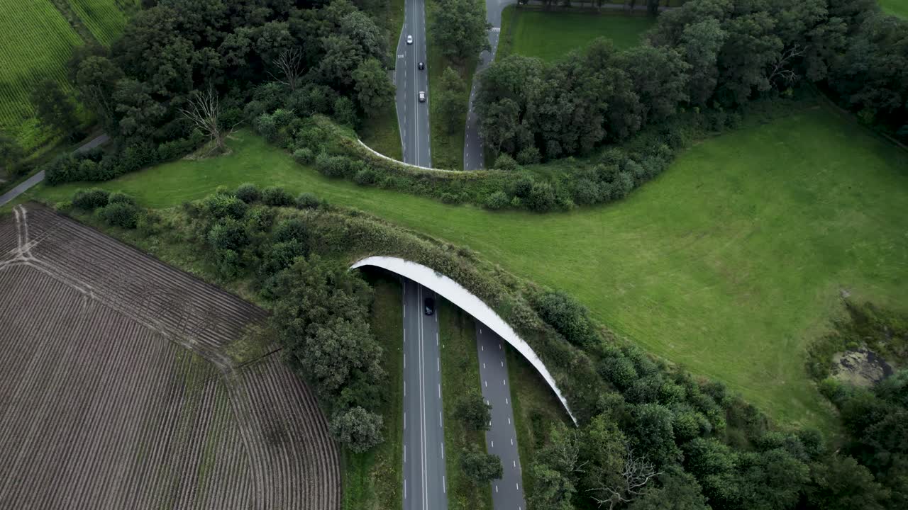 Arrow Shaped Wildlife Crossing Forming A Safe Natural Corridor Bridge ...