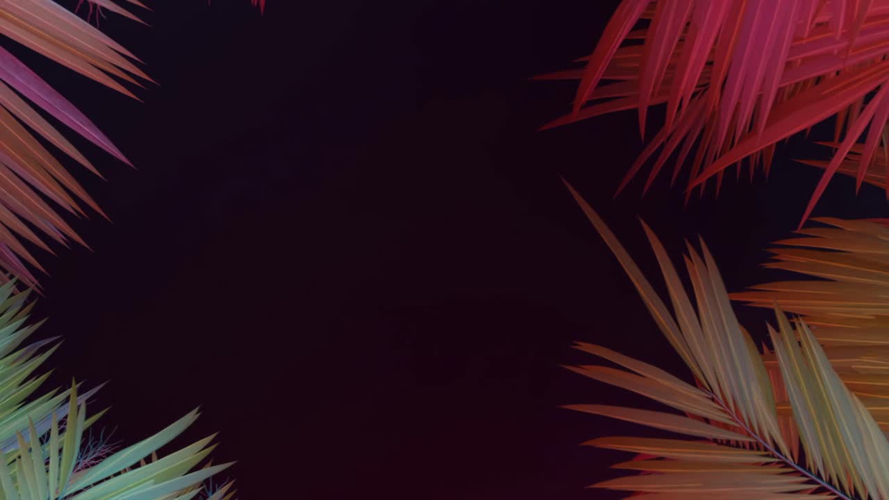 Tropical Palm Tree Leaf Frame, Zoom Out Animation Free Stock Video ...