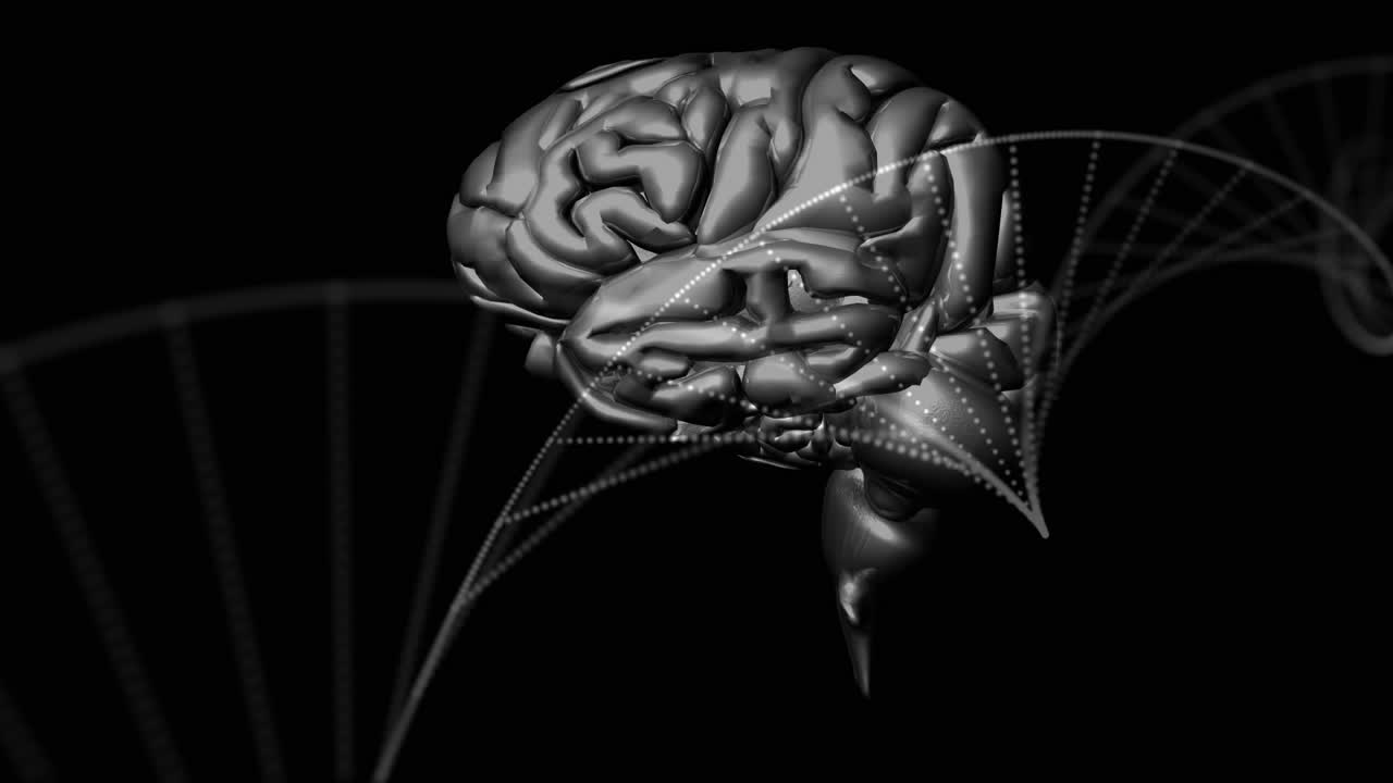 Premium stock video - Digital animation of human brain and dna ...