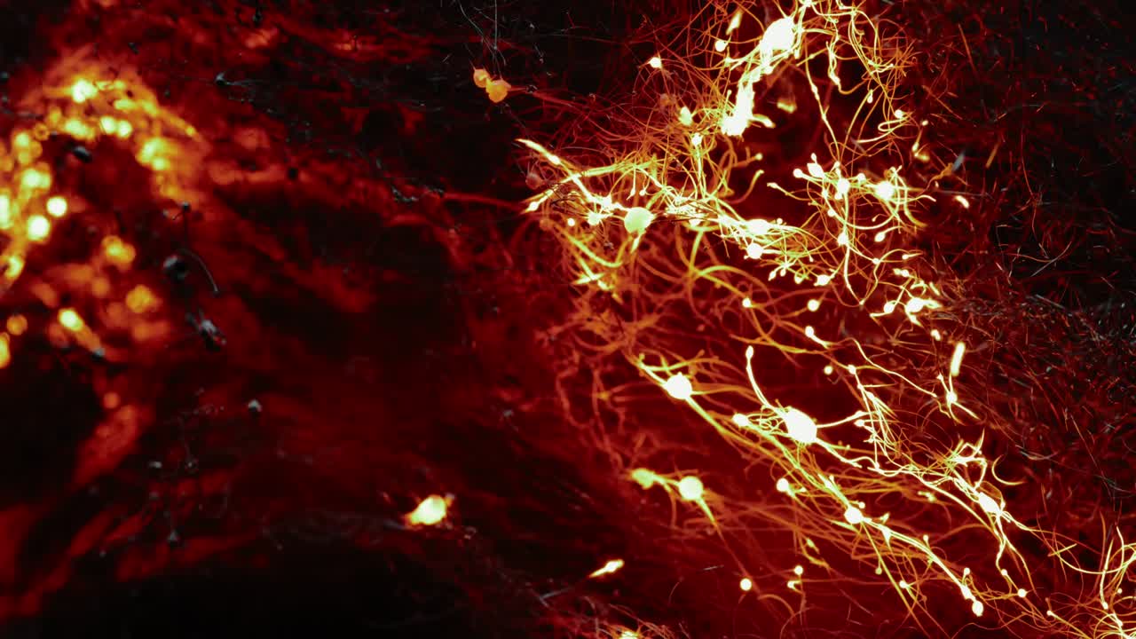 Premium stock video - Artistic fire trails: a small group of glowing ...