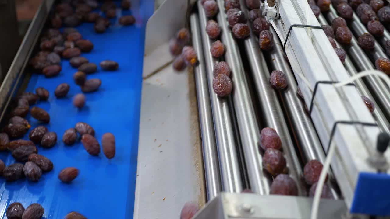 Medjool Dates Factory Use Advanced Ai Technology For Postharvest ...