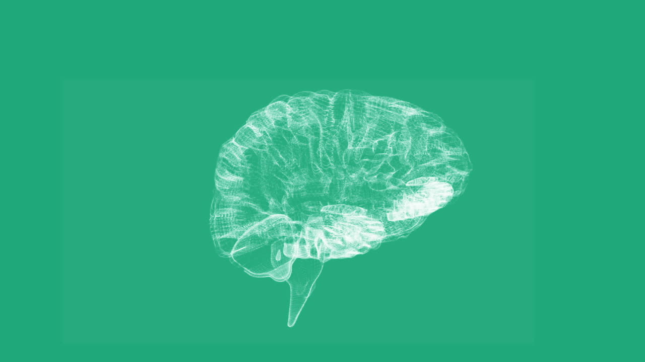 Revolving transparent human brain graphic | Premium Stock Video Footage