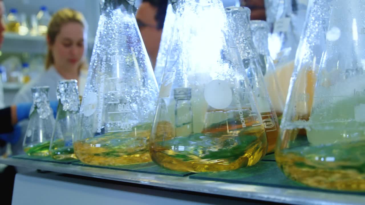 Premium stock video - Team of scientists interacting with each other 4k