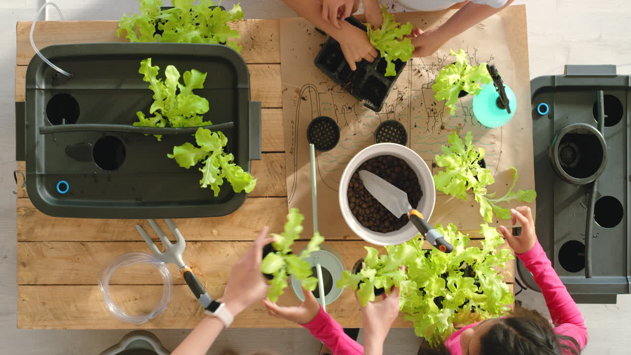 kids learning about hydroponics and planting lettuce | freepik