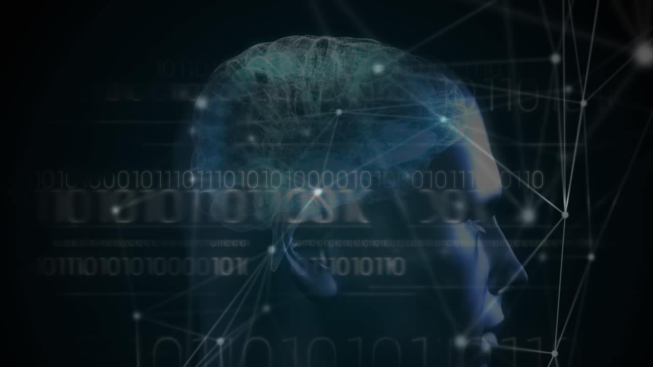 Premium stock video - Animation of network of connections over human head, binary coding and ...