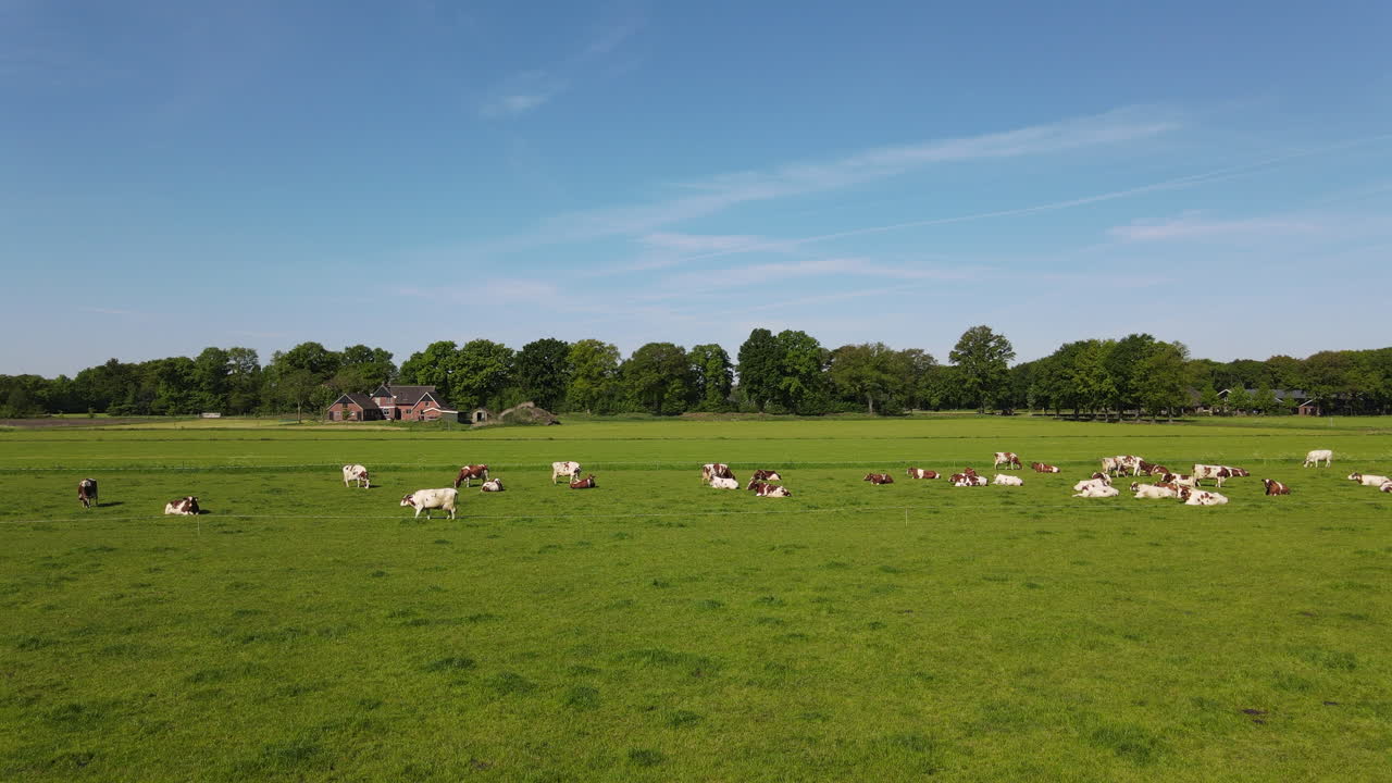 Drone shot of a beautiful farm, with a big pasture and cows. | Premium ...